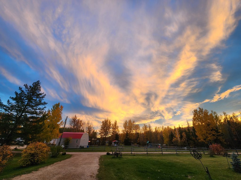 Visitors Guide: Happiness Guaranteed! - BearPaw Ranch