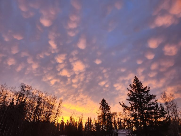Discover BearPaw Ranch Alberta - BearPaw Ranch